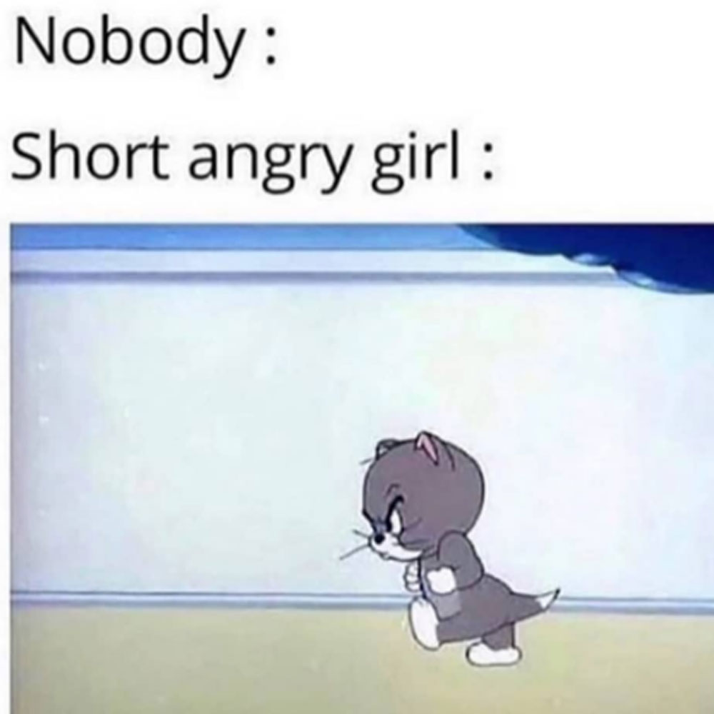 50+ Short Girls Quotes in 2020 with Images, Memes