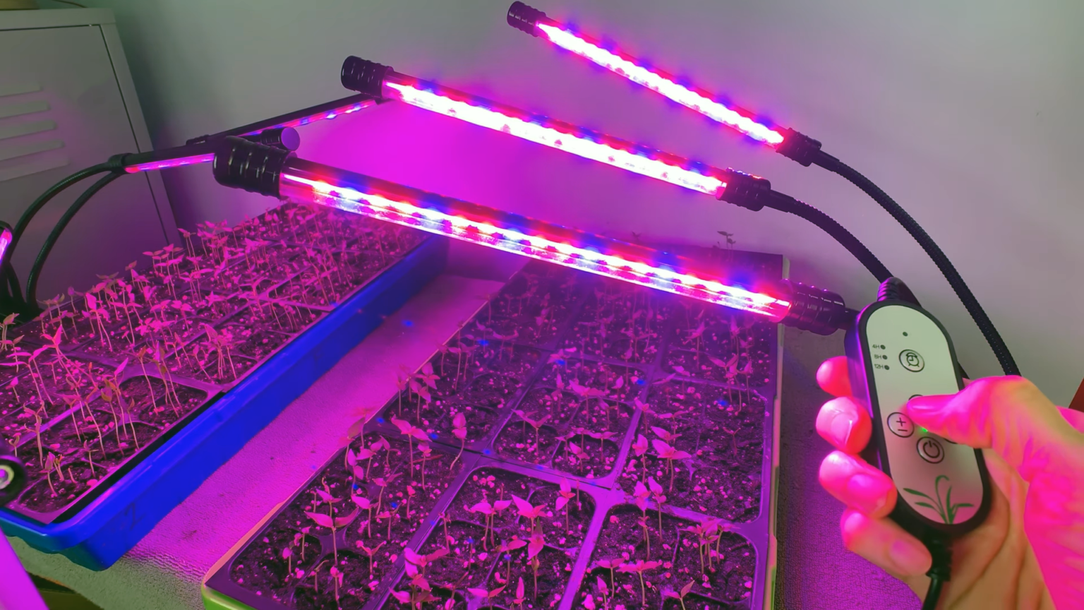 Tips to Choose an LED Grow Light
