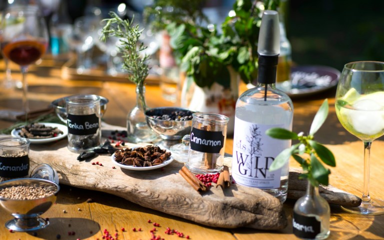 The Perfect Serve: A Gin-Tasting Experience of Classic and Contemporary ...