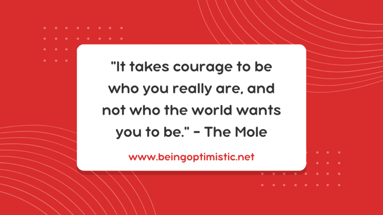 40+ Best The Boy, The Mole, The Fox and The Horse Quotes