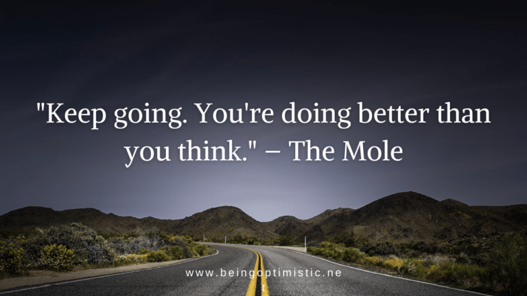 40+ Best The Boy, The Mole, The Fox and The Horse Quotes
