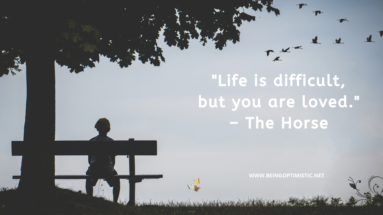 40+ Best The Boy, The Mole, The Fox and The Horse Quotes