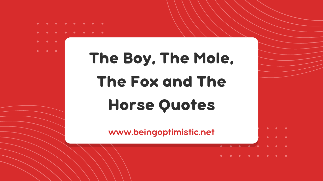 40+ Best The Boy, The Mole, The Fox and The Horse Quotes