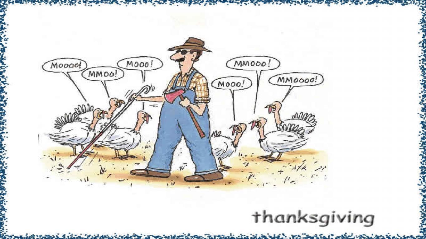 Thanksgiving Teams Background Funny